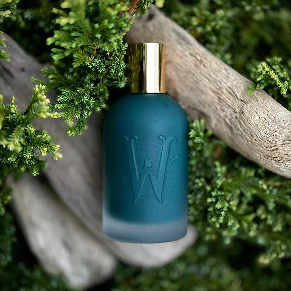 Wyle Cop Wood | Saltworks.pl